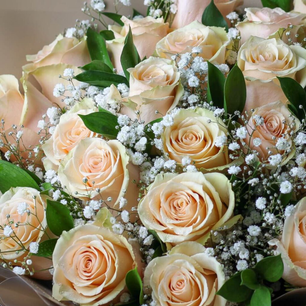 Classic First Peach - Azhar24