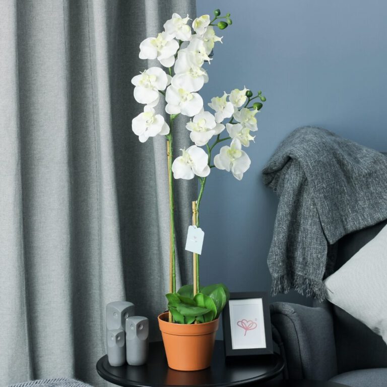 Azhar24 || Best online flower shop delivery in Doha, Qatar